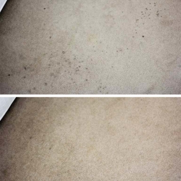 REVIEW: Easy DIY Carpet Cleaning with Britex Carpet Cleaner