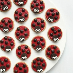 10 Easy Biscuit Decorating Ideas to Entertain the Kids
